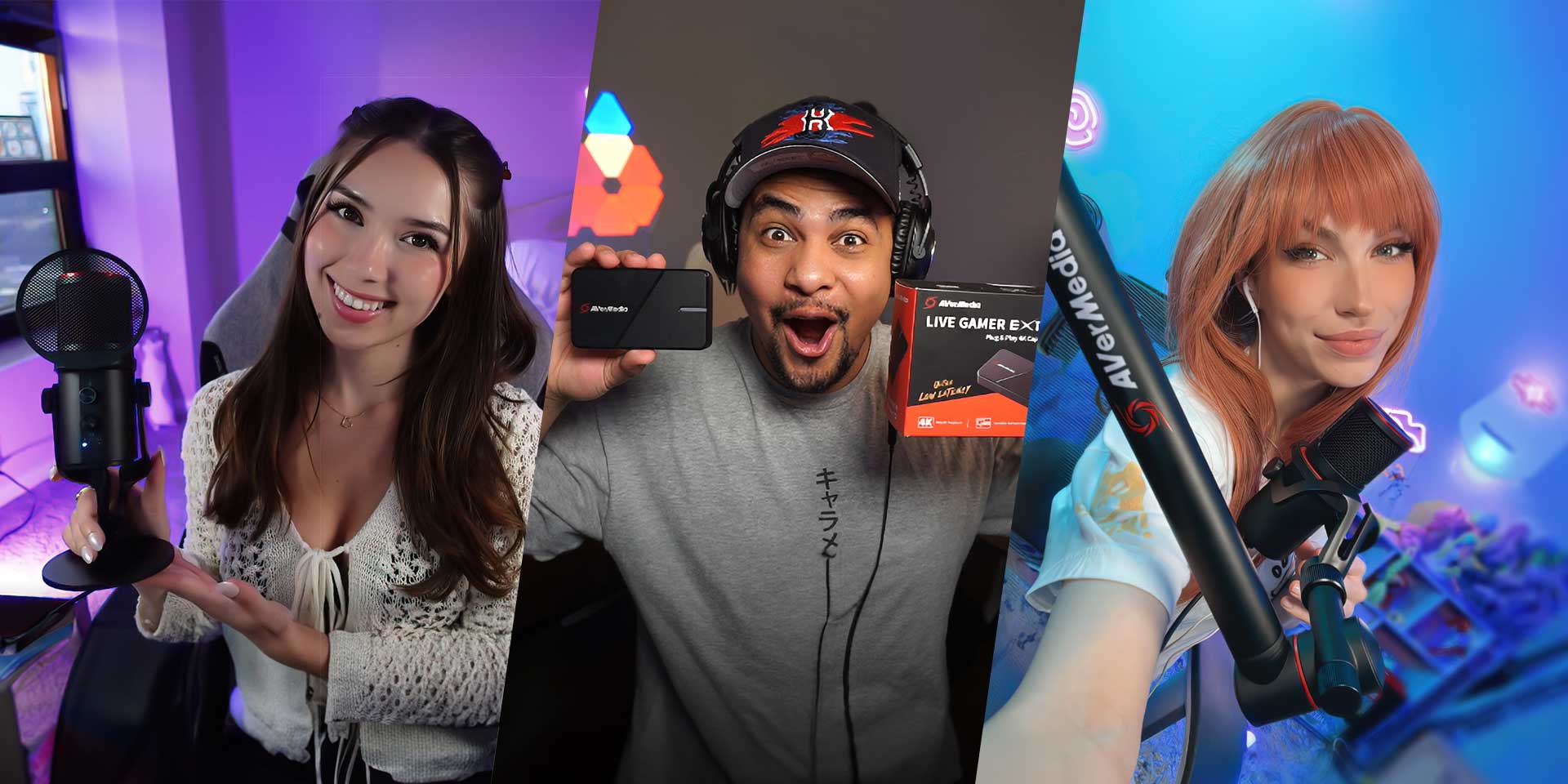 Avermedia Partnership Program